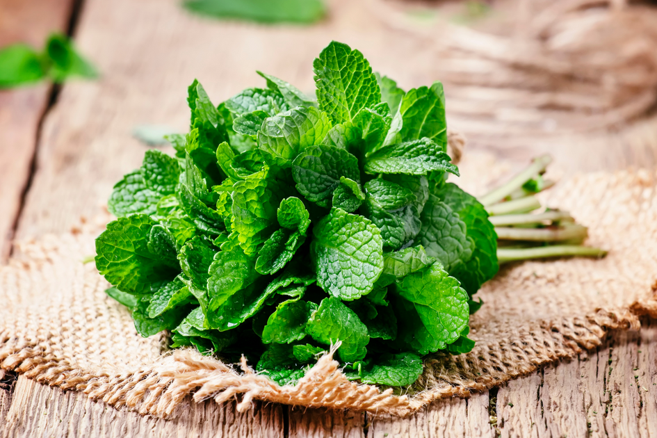 Argan & Mint – Tagged "employee60"– Maison Apothecare